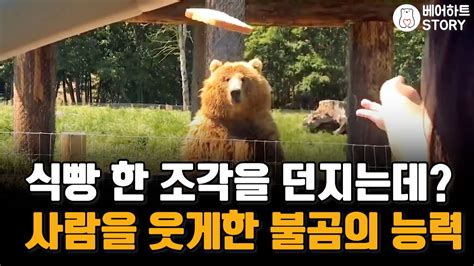 식빵 한 조각을 던져주자 사람을 웃게 만든 불곰이 가진 능력 Youtube