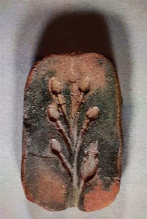 Mold With The Image Of A Tree And A Fish R OutoftheTombs