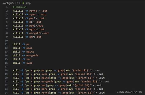 【linux系统恶意代码】“亡命徒（outlaw）僵尸网络” Kswapd0挖矿病毒的发现与清除configrc5 Csdn博客