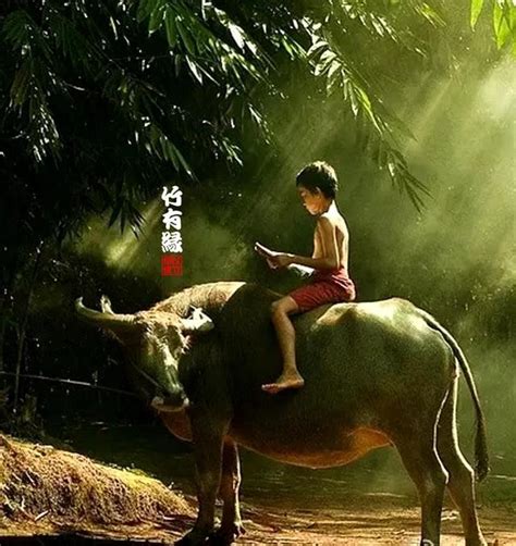 少年竹則中國強 每日頭條