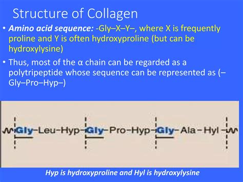 Fibrous Proteins Biochem Pptx