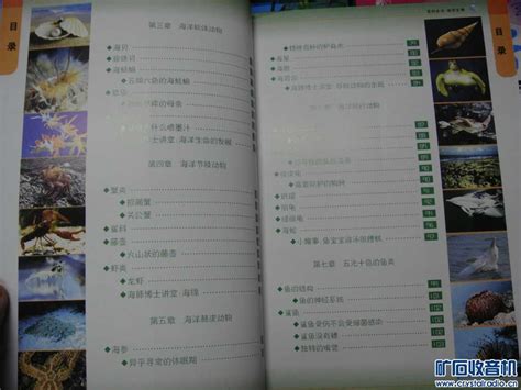 少儿百科全书手抄报少儿欢度春节手抄报范例 随意云