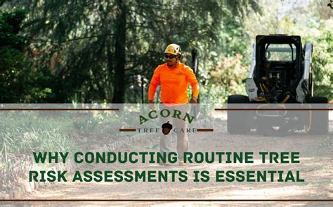 Understanding Tree Risk Assessment Why It S Important