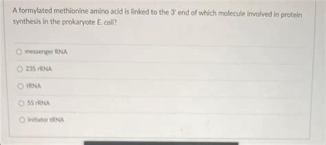 Solved A Formylated Methionine Amino Acid Is Linked To The