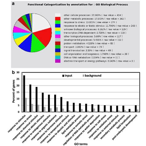 Functional Categorization Of Differentially Expressed Genes By