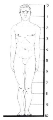 Algorithm Opencv Python Watershed Markers For Body Parts Measurement Stack Overflow