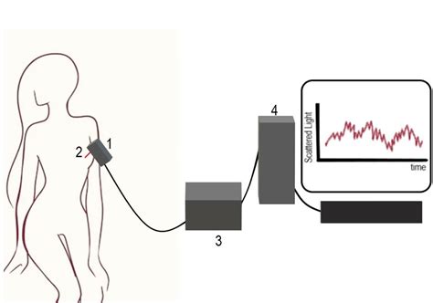 A Configuration Of The Fedsa System 1 Lighting And Detection Download Scientific Diagram