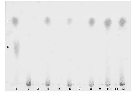 Induction Of Inulinase Activity By Different Carbon Sources Line1
