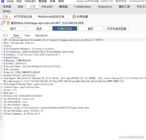 Burpsuite联动proxifier抓包pc端微信小程序电脑 微信小程序抓包 Csdn博客
