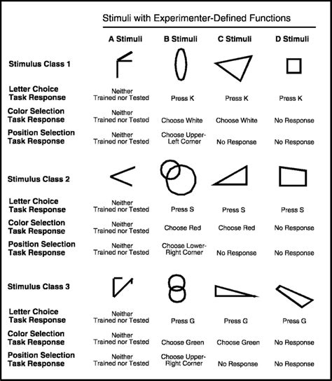 Examples Of Stimuli And Experimenter Defined Functions Download Scientific Diagram