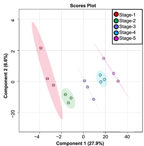 Partial Least Squares Discriminant Analysis Pls Da Of Proteins Among Download Scientific