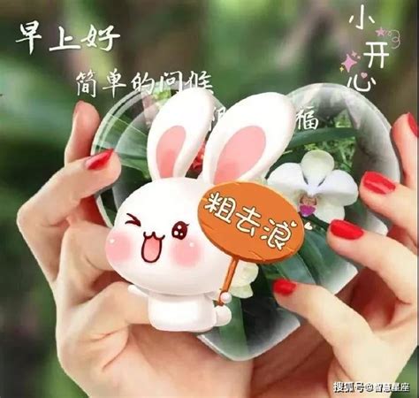 7月6日周二群发清晨早上好问候祝福动态表情图片 最新早晨好问候动态图片表情年修来