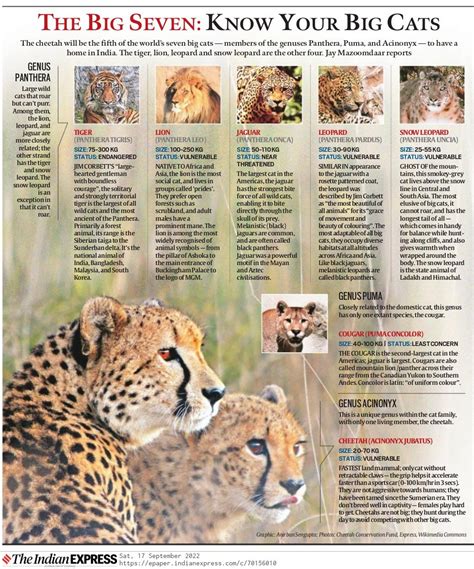 Current Affairs Cheetah Reintroduction Program