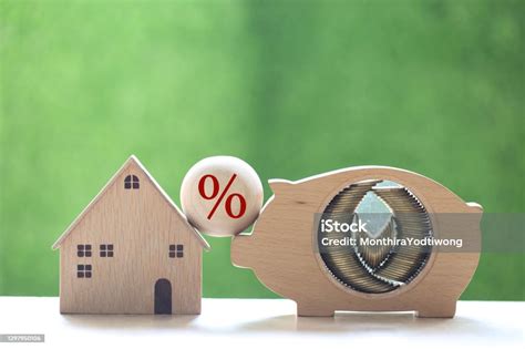 모기지 금리 및 부동산 개념 자연 녹색 배경에 백분율 기호 아이콘 돼지 저금통 나무와 모델 하우스에 동전 돈의 스택 결정에 대한