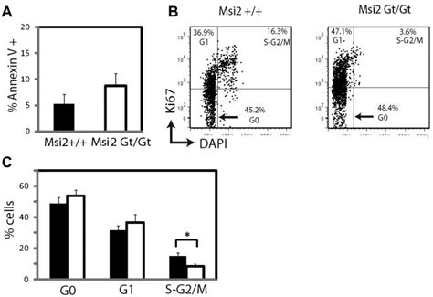 Apoptosis And Cell Cycle Analyses A Apoptosis Analysis Of Freshly