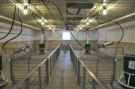New Swine Barns New Modern Concepts