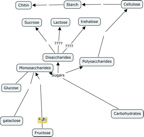 Stpm Carbohydrates Concept Map