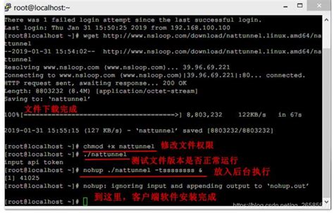 树莓派入门（ssh vnc 内网穿透 建站） 你们的小f的博客 csdn博客