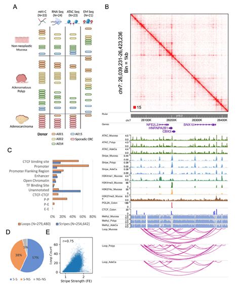 Mhi C Reveals Fine Scale Chromatin Structures Associated With Cres A