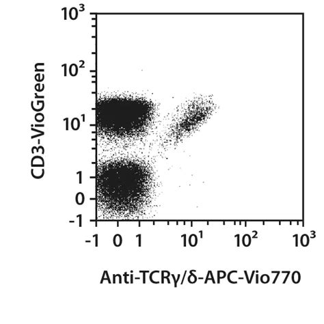 TCRγ δ Antibody anti human REAfinity Miltenyi Biotec 中国