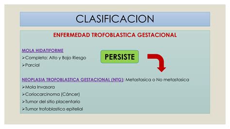 Solution Enfermedad Trofoblastica Gestacional Studypool