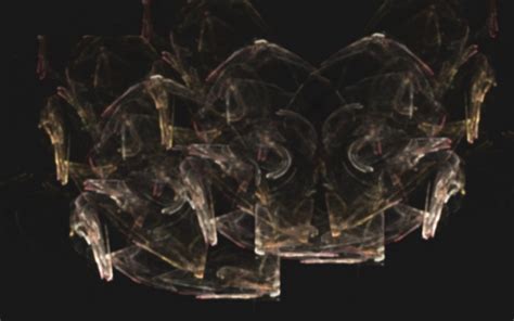 Flame Image The Gimp Ers On ModDB ModDB