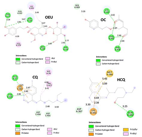 b schematic 2d interaction diagrams showing the binding contacts of