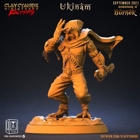 Owl Folk Villain Miniature Owlin Rogue Miniatures For Dandd 5e