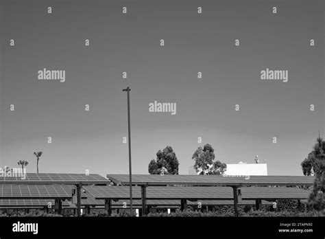 Solar Electric Panels On Bright Blue Sky Photovoltaics PV Outdoors