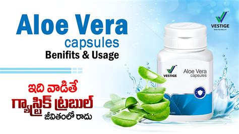 Vestige Aloe Vera Benifits Telugu Aloe Vera Benefits Vestige Aloe