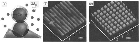 A The Depletion Effect The Centres Of Non Adsorbing Polymer Coils Download Scientific