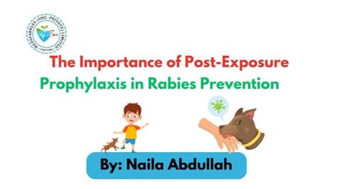 The Importance Of Post Exposure Prophylaxis In Rabies Prevention
