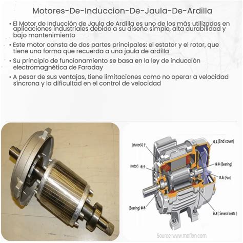 Motores de inducción de jaula de ardilla Electricity Magnetism