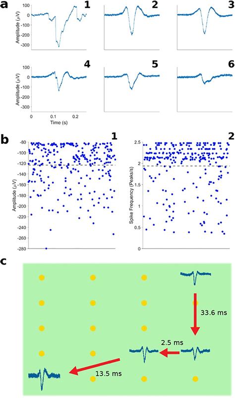Extracellular Signals A Waveforms Of Detected Spikes With Different