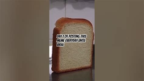 Bread Falling Over Meme Youtube