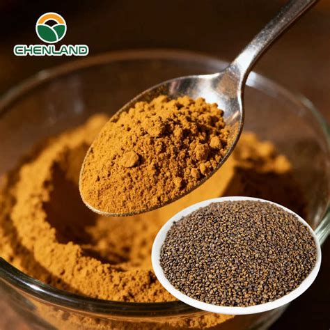 Pure Natural Cuscuta Chinensis Extract Chinese Dodder Seeds Powder 10 1