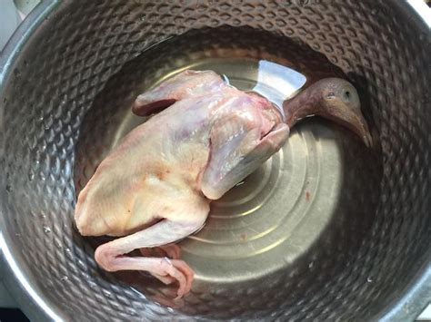 爆炒乳鴿的做法 每日頭條