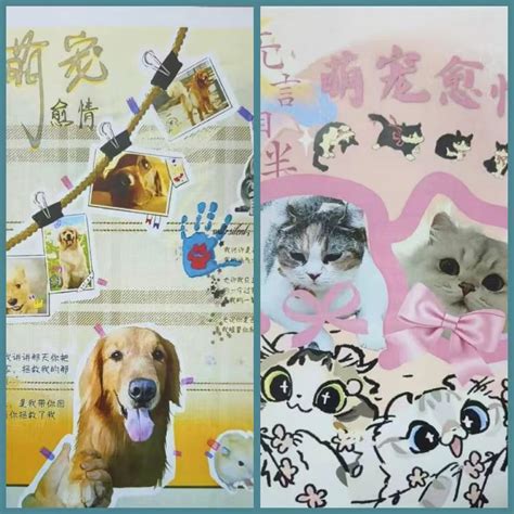 学院开展无言陪伴 萌宠愈心电子海报制作比赛 安徽农业大学动物科技学院