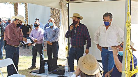 Inició cosecha del dátil en el valle de Mexicali Semanario El Pionero
