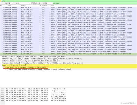 [陇剑杯 2021]之misc篇 nssctf）刷题记录⑤ [陇剑杯 2021]sql注入 问3 csdn博客