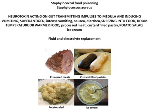 Bacterial Gi Pathogens 2 Flashcards Quizlet