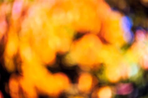 Foto Abstrak Semburan Cahaya Di Antara Pepohonan Dan Bokeh Berkilauan
