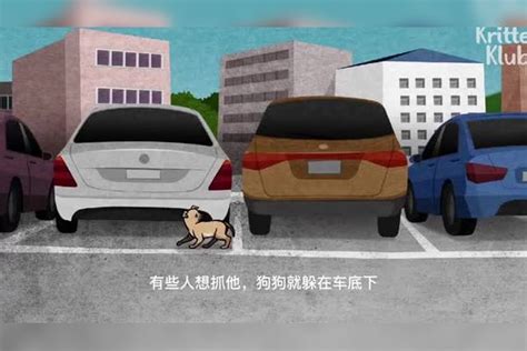狗狗到底经历了什么每当睡觉时就会惨叫不止，真相实在太震撼睡觉时真相实在太