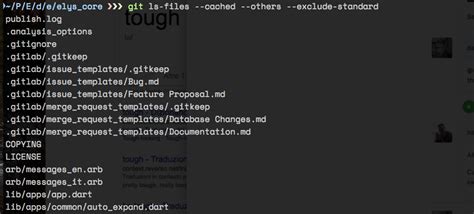 Invalid Upload No Pubspecyaml File On Macosx Sierra · Issue 1793