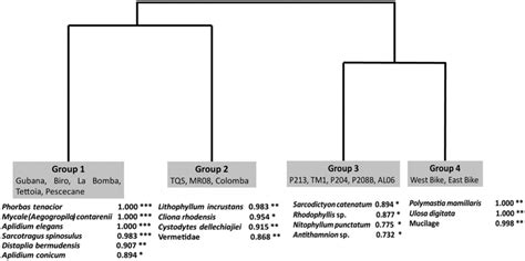 Indicator Taxa In All Divisions Of The Dendrogram Built On The Site