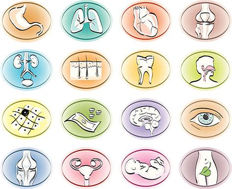 Std Illustrations Royalty Free Vector Graphics And Clip Art Istock