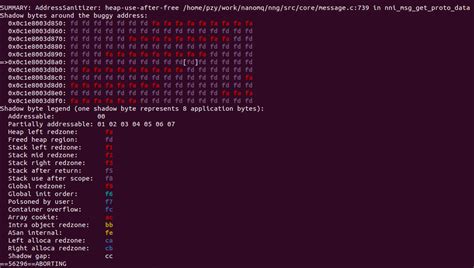 Security Wrong Protocol Name Data Racing Issue 1165 Nanomq