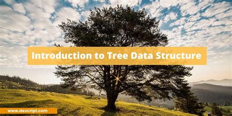 Introduction To Tree Data Structure Devcript