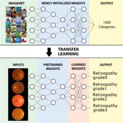 Schematic Diagram Of Transfer Learning Download Scientific Diagram