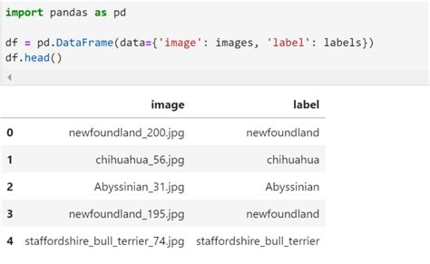 Demystifying Pytorchs Weightedrandomsampler By Example Towards Data Science